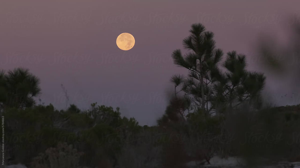 "Full Moon And Dark Night Sky At Dawn" by Stocksy Contributor "Maryanne ...