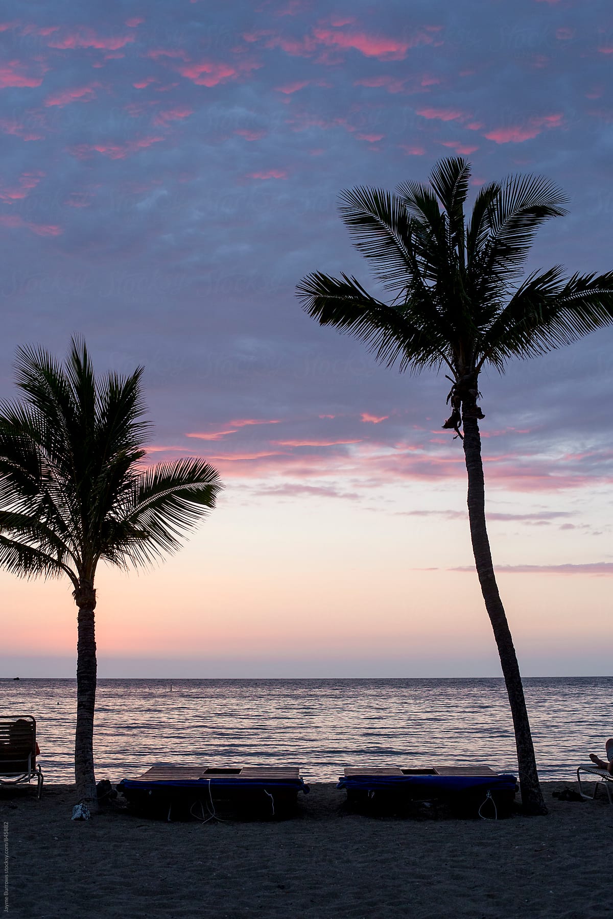 "Hawaii Scene" by Stocksy Contributor "Jayme Burrows" - Stocksy