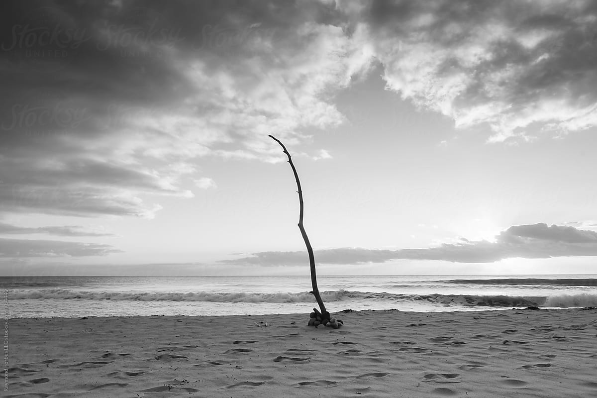 "Cape Cod National Seashore Eastham, Massachusetts" by Stocksy ...