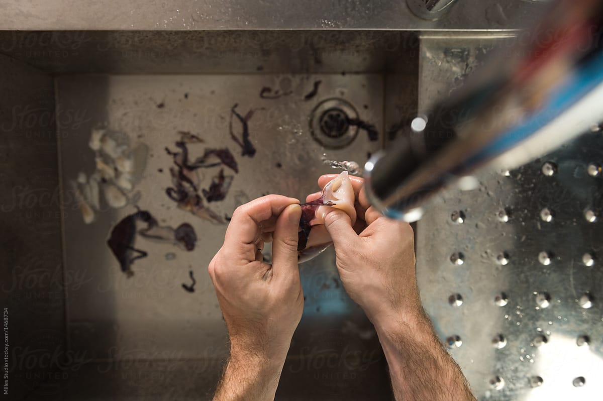 "Person Washing And Peeling Squid" by Stocksy Contributor "Milles Team ...