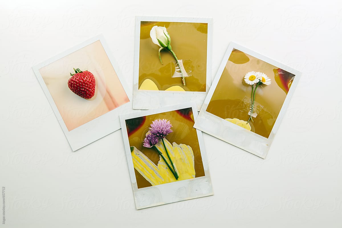"Burned Out Polaroid Photos With Flowers Taped To Them" by Stocksy ...