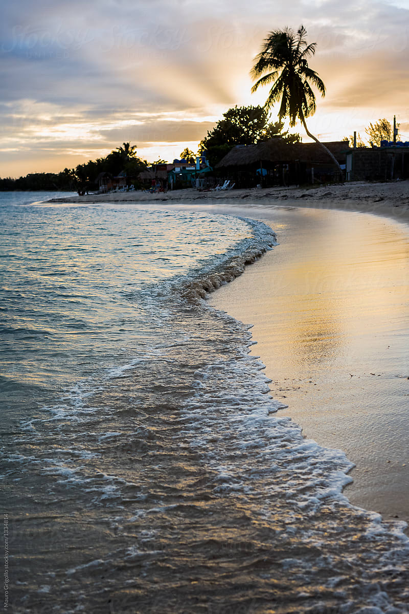 "Beach In Cuba At Sunset" by Stocksy Contributor "Mauro Grigollo" - Stocksy