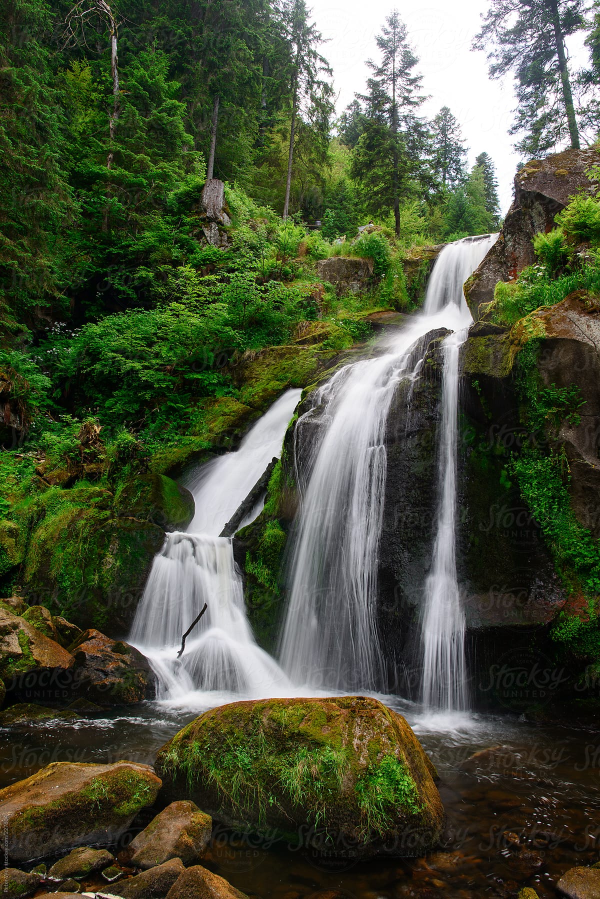 "Triberg Waterfall" by Stocksy Contributor "Peter Wey" - Stocksy