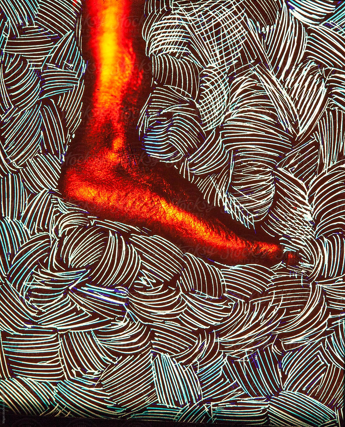 "Golden Scratched Feet" by Stocksy Contributor "kkgas" - Stocksy