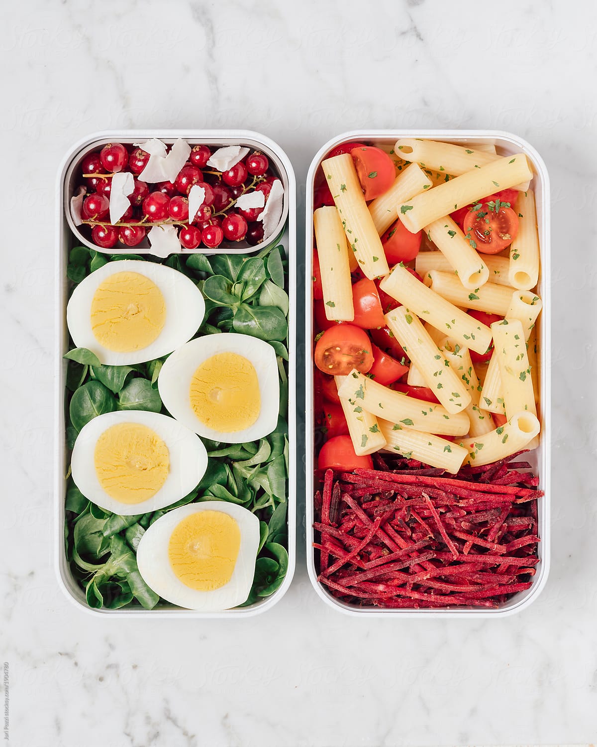 "Healthy Bento Box With A Balanced Meal" by Stocksy Contributor "Studio ...