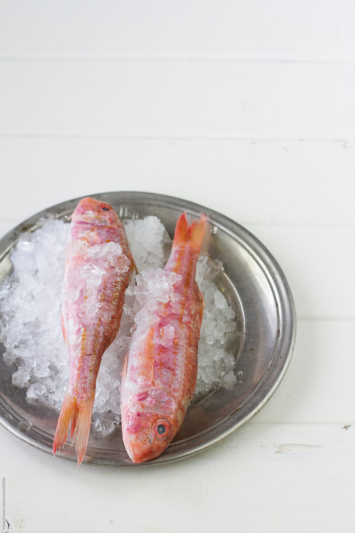 "Red Mullets On Ice" by Stocksy Contributor "Noémi Hauser" - Stocksy