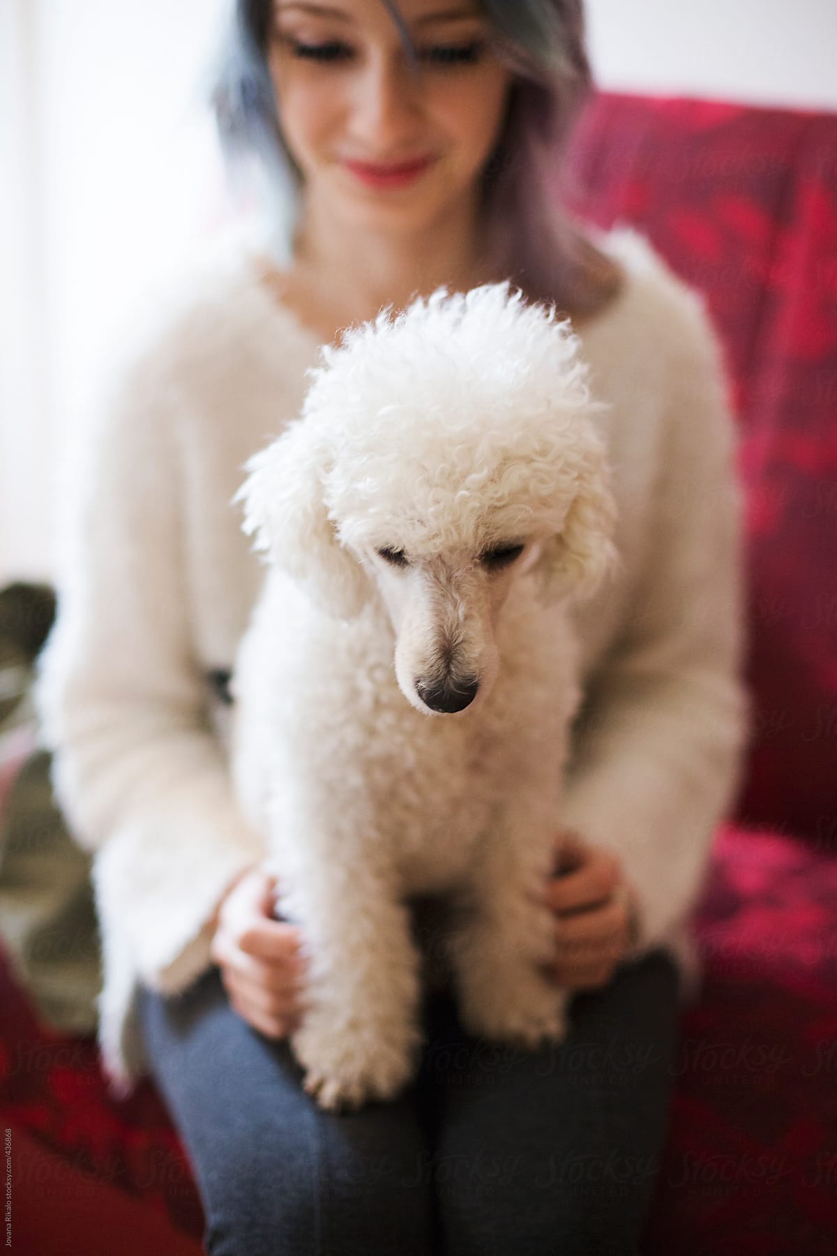 "Young Woman And A Poodle" by Stocksy Contributor "Jovana Rikalo" - Stocksy