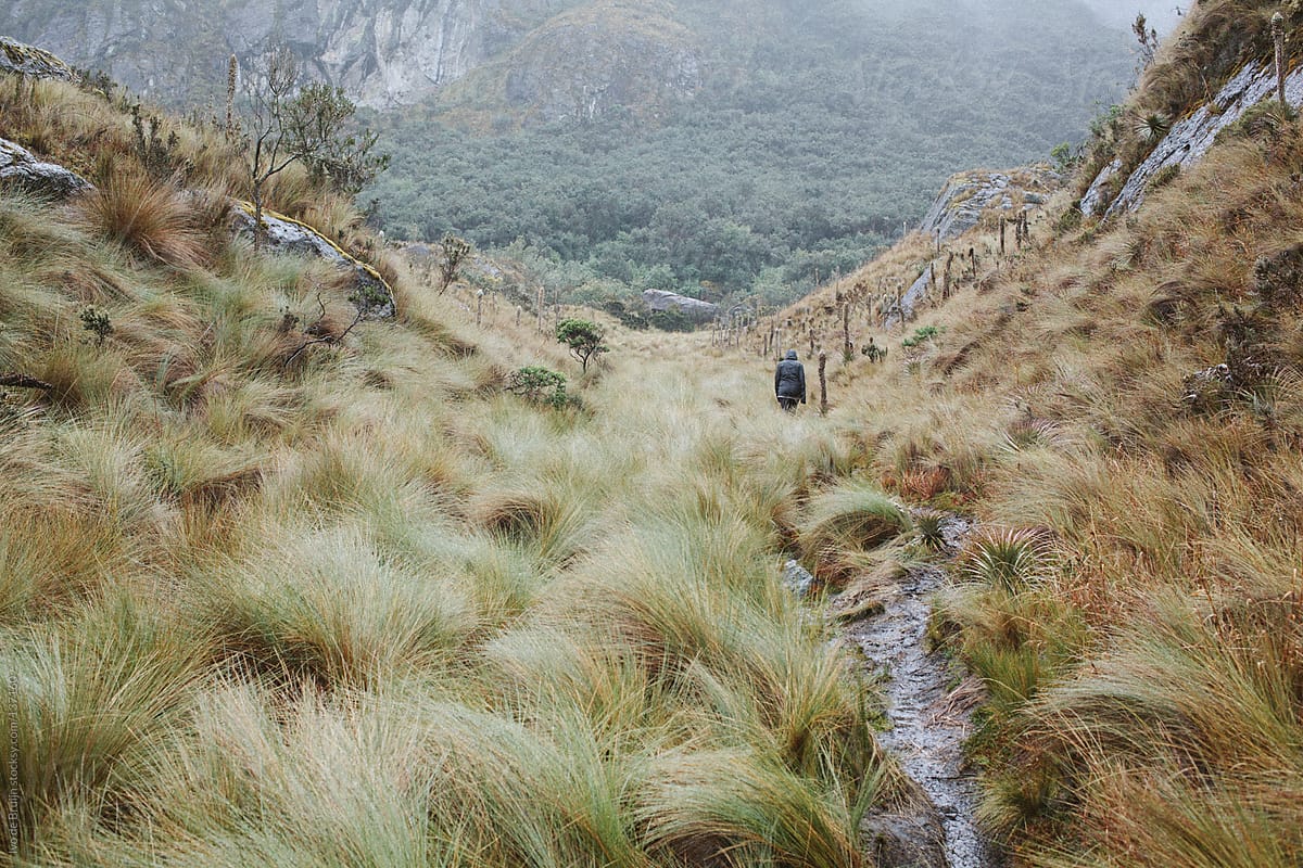 "Person Hiking In The Cold Foggy Hills Amid Wet Grasslands" by Stocksy ...