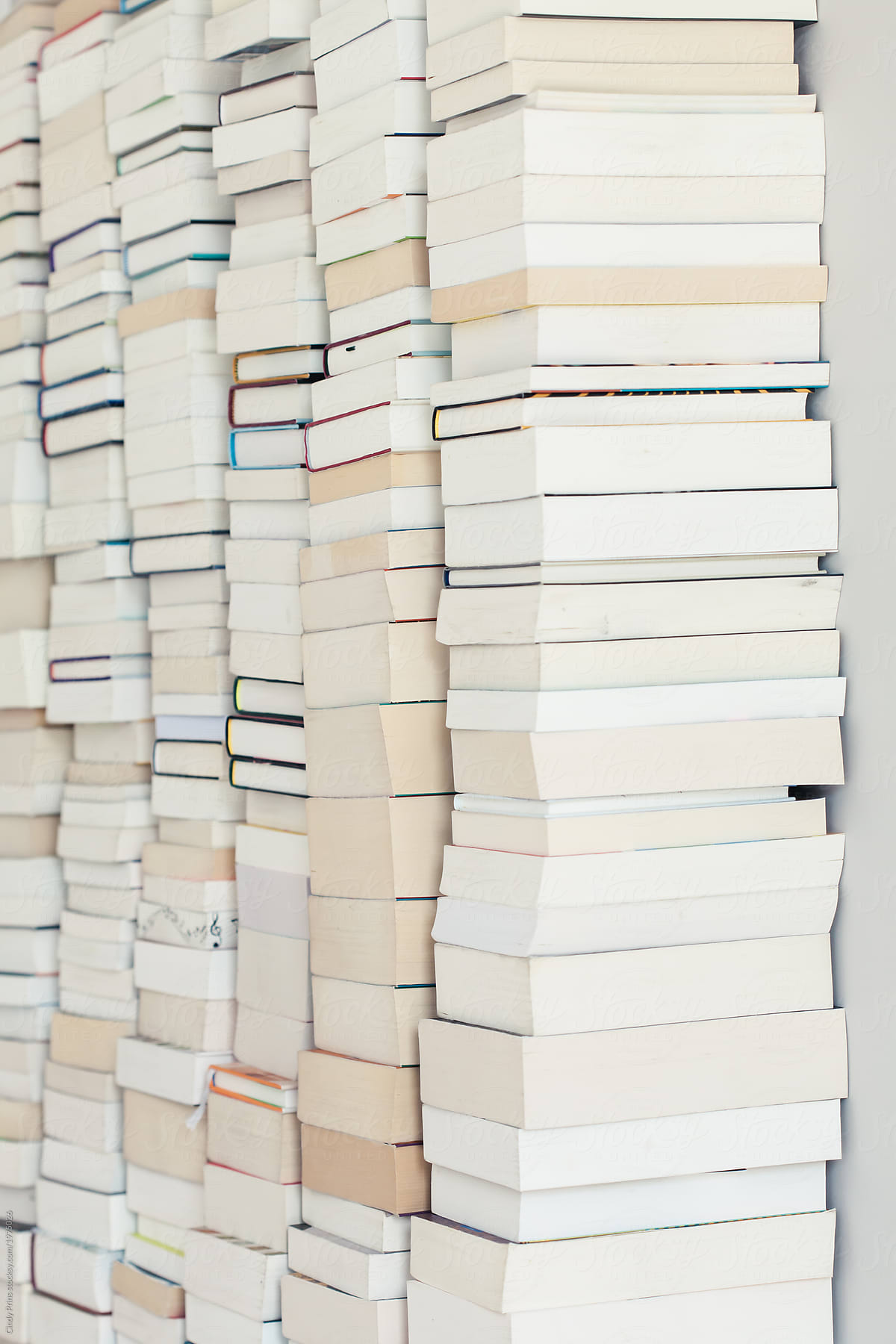 "Stacks And Stacks Of Books" by Stocksy Contributor "Cindy Prins" - Stocksy