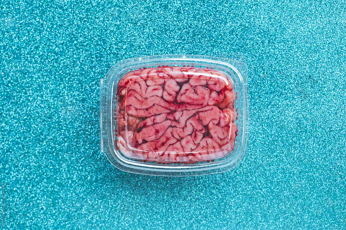 "Brain In A Plastic Box" by Stocksy Contributor "Vera Lair" - Stocksy