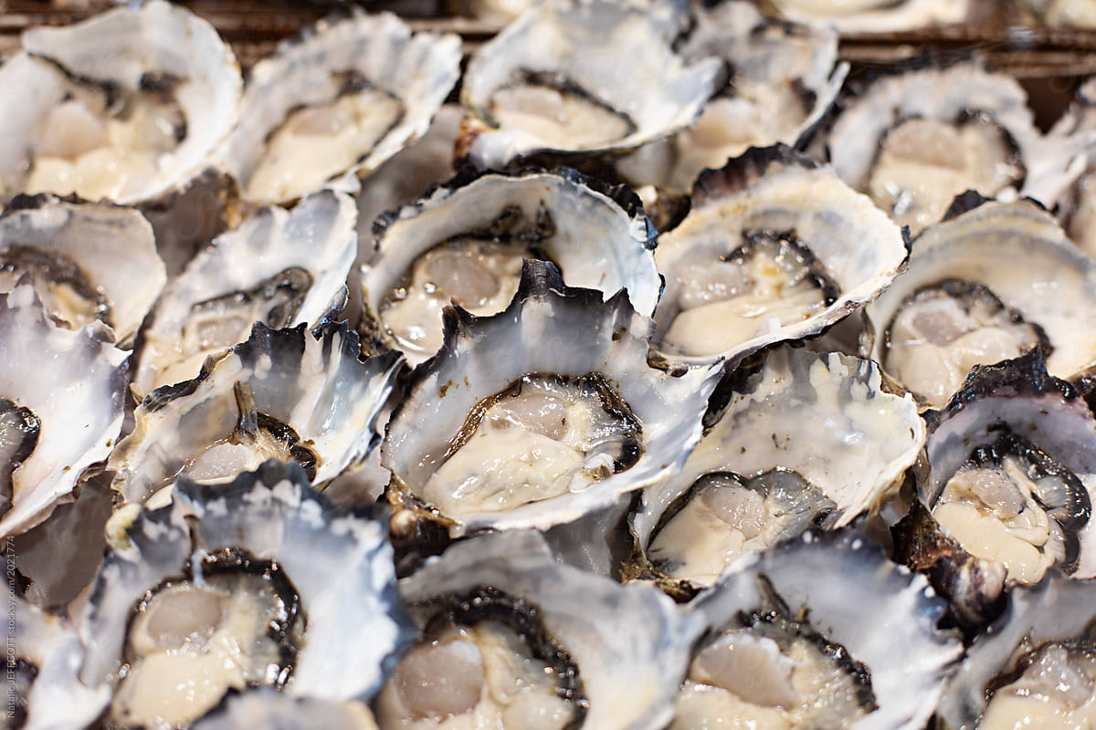 "Fresh Produce / Seafood At The Sydney Fish And Seafood Market" by ...