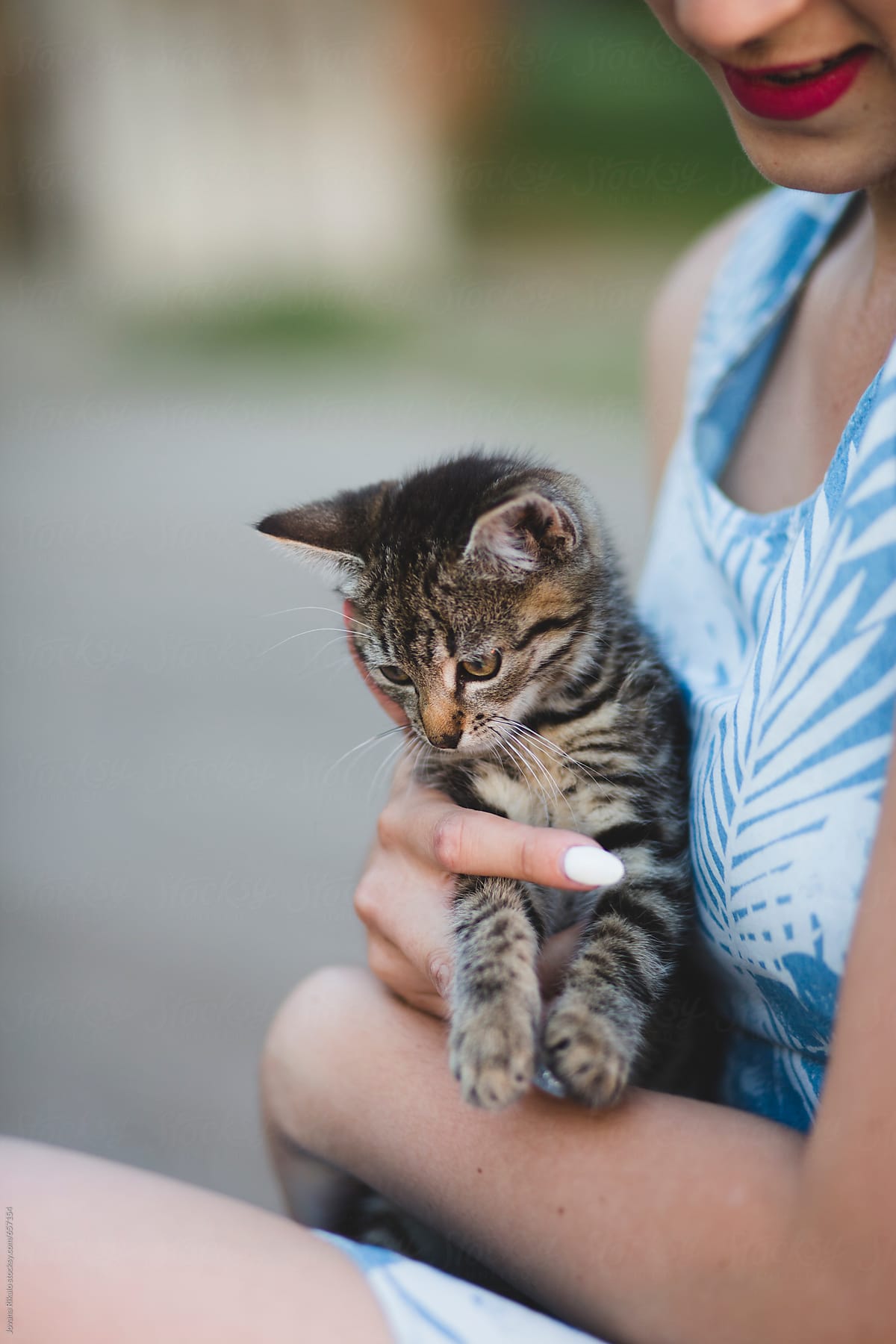 "Young Woman Holding A Kitty" by Stocksy Contributor "Jovana Rikalo ...