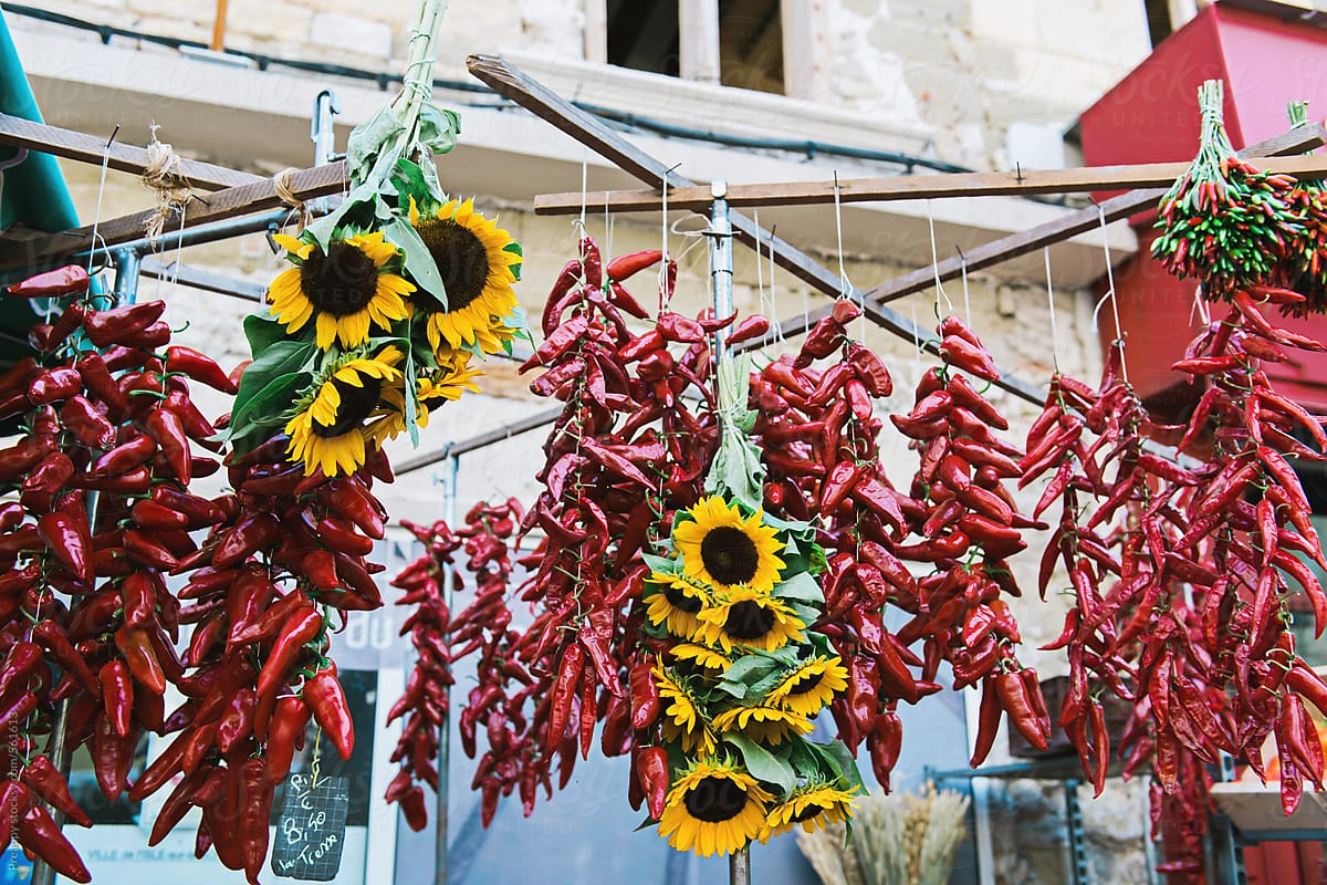 "Dried Hanging Chili Peppers" by Stocksy Contributor "Preappy" - Stocksy