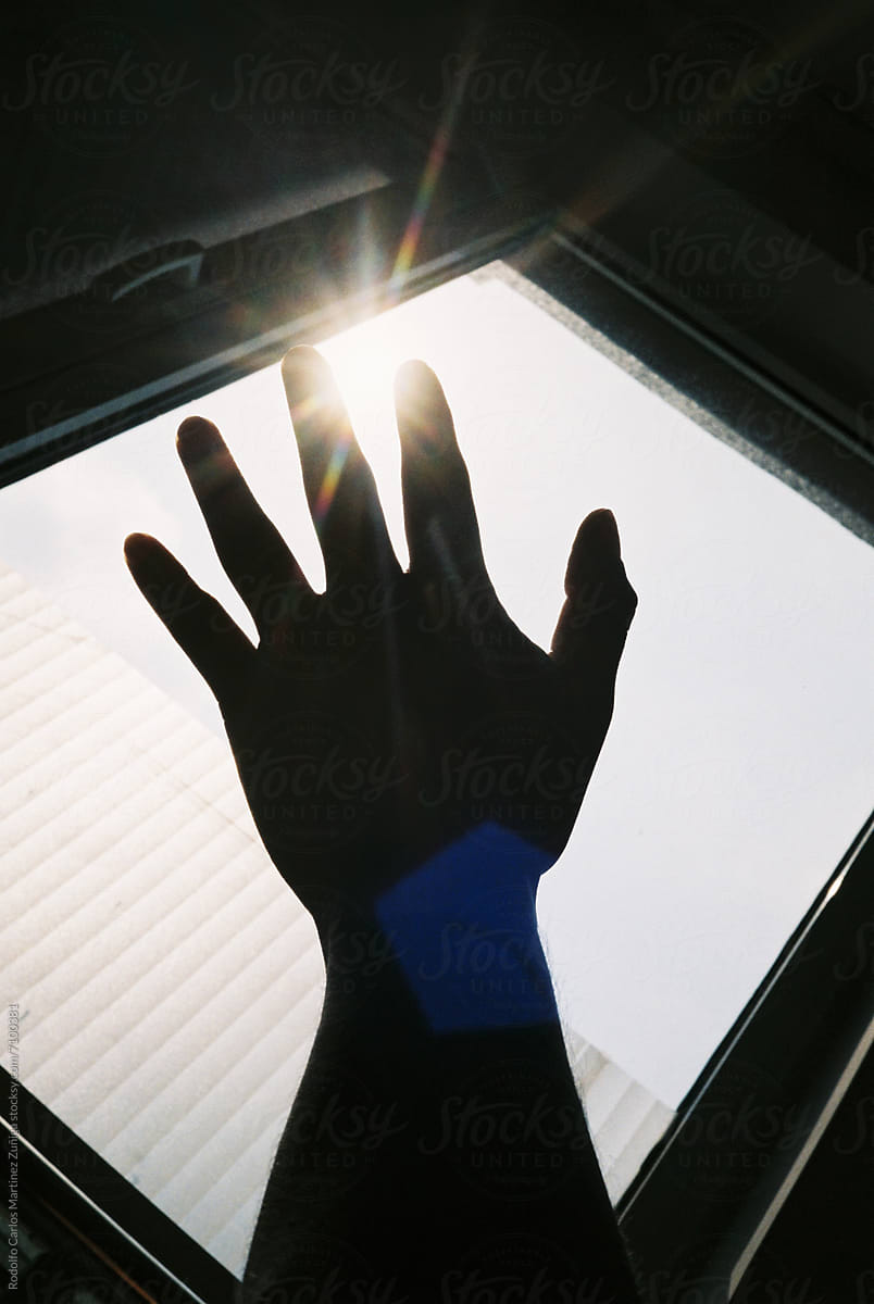 "A Silhouette Of A Hand" by Stocksy Contributor "Rodolfo Carlos ...