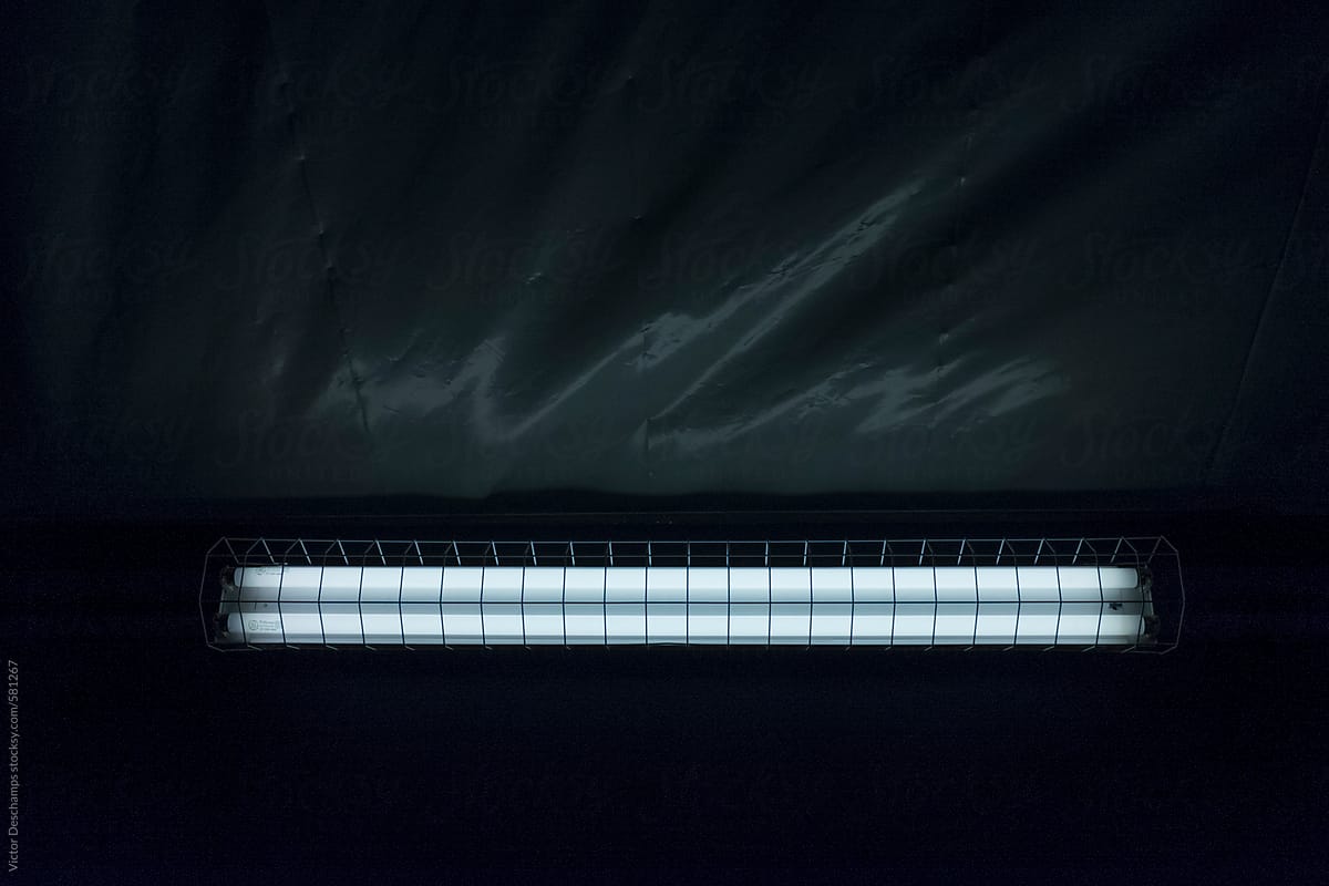 "Fluorescent Lamp" by Stocksy Contributor "Victor Deschamps" - Stocksy