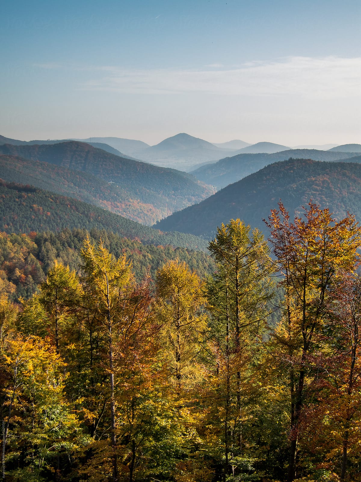 "Fall Forest Hills" by Stocksy Contributor "Andreas Wonisch" - Stocksy