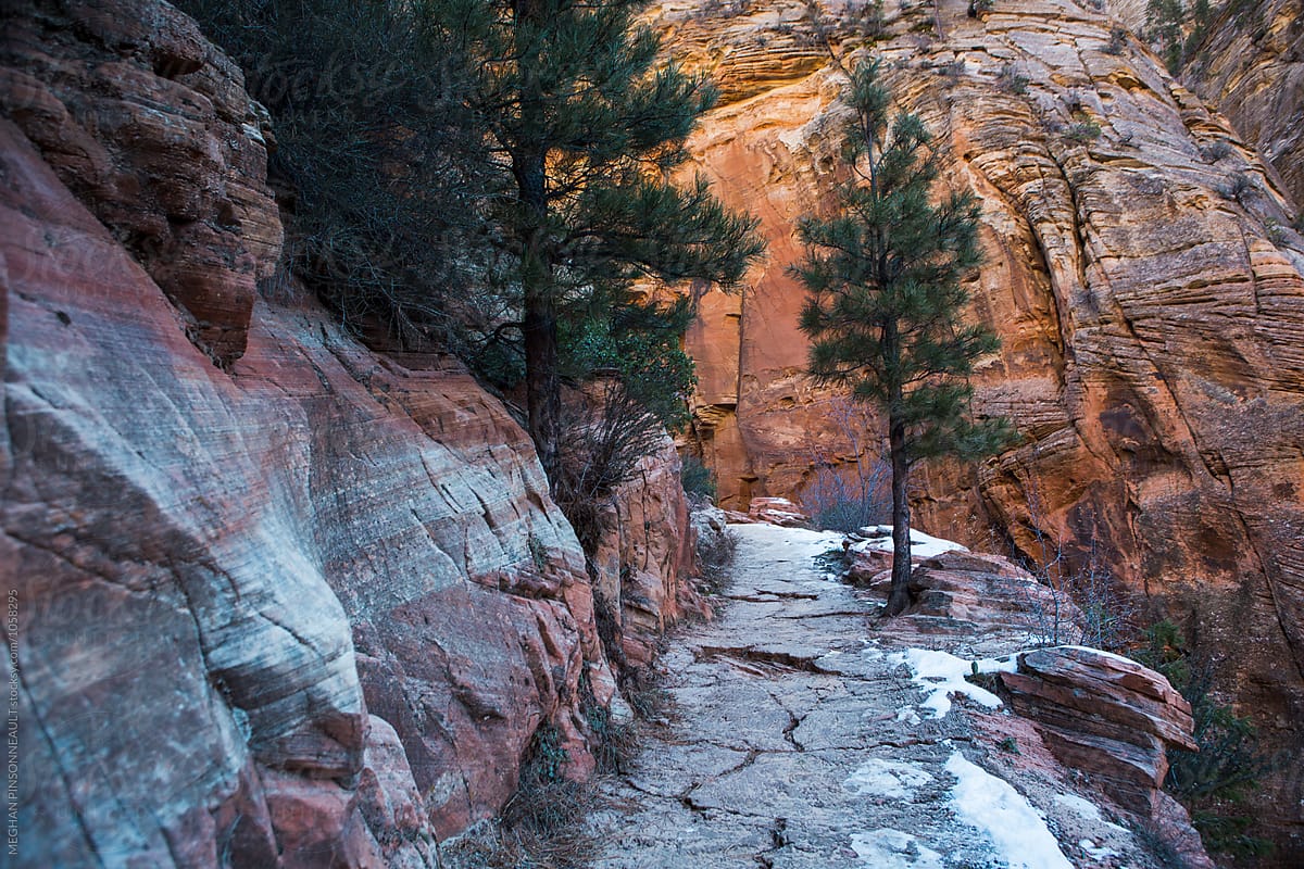"Snowy Trail With Colorful Canyon Walls" by Stocksy Contributor "MEGHAN ...
