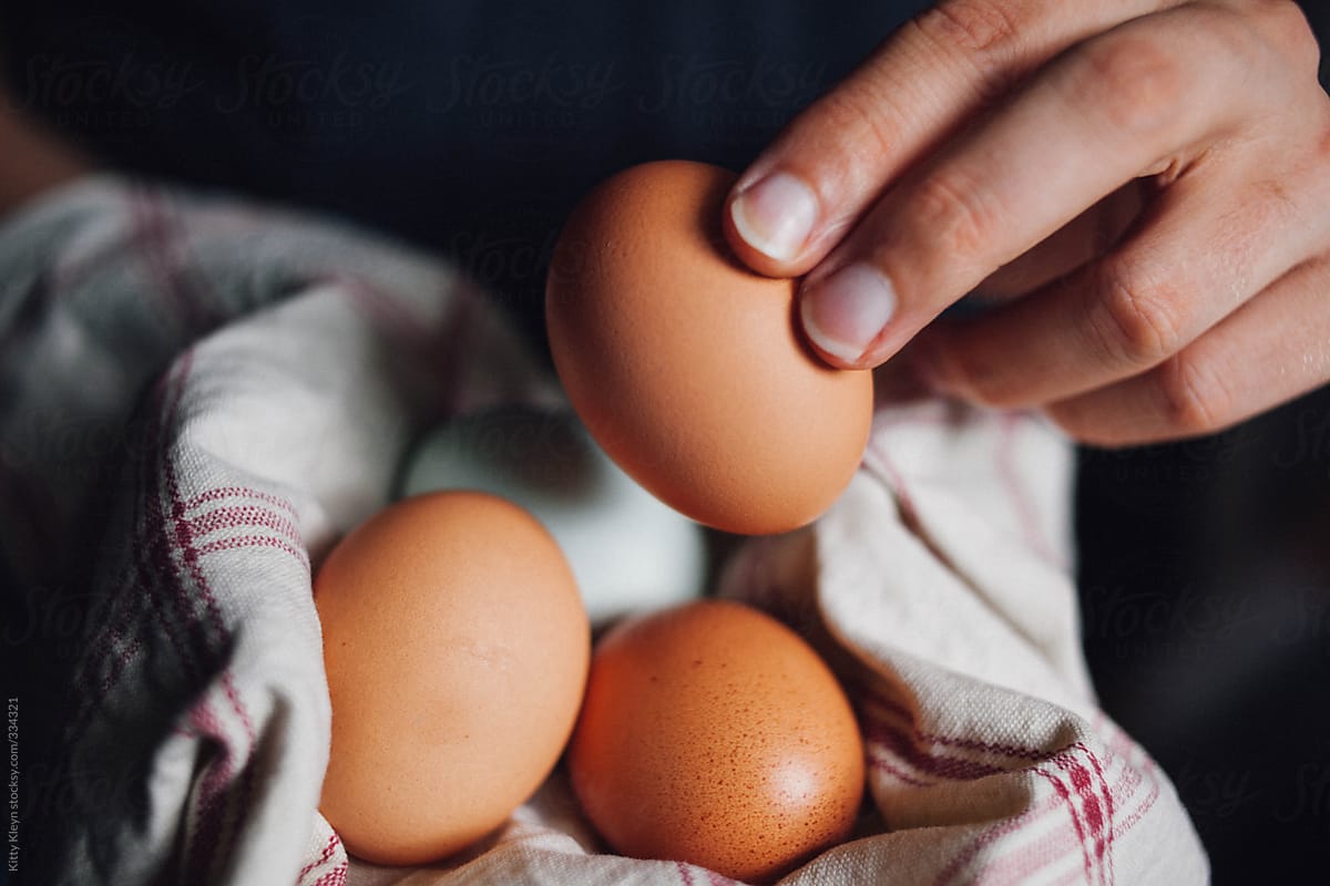 "A Person Picking Up Fresh Egg" by Stocksy Contributor "Kitty Kleyn ...