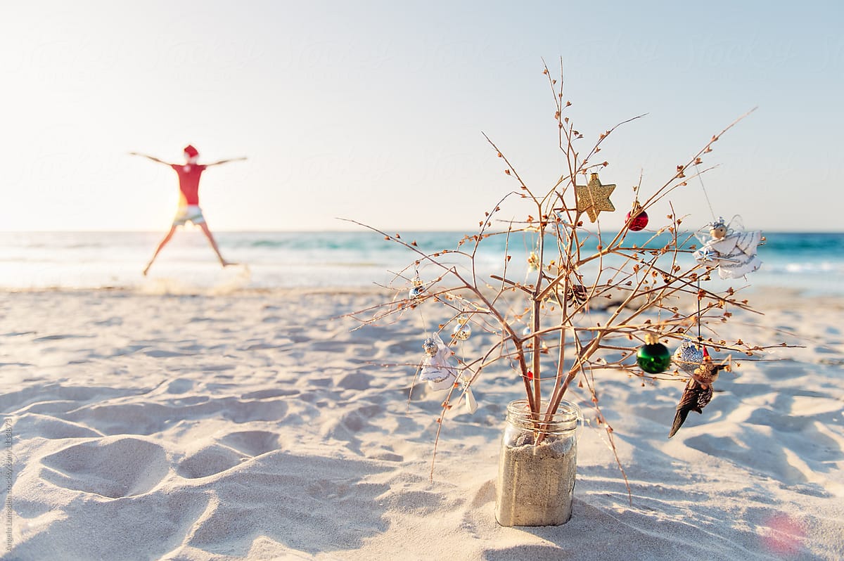 "A Beach Christmas Tree At Sunset" by Stocksy Contributor "Angela ...