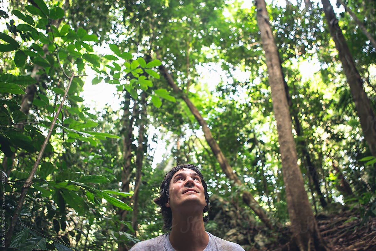 "Man Looking Up Surrounded By Lush Jungle" by Stocksy Contributor ...