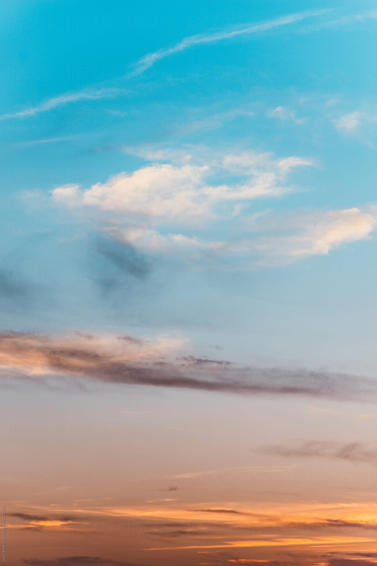 "Sunset At Nature" by Stocksy Contributor "Pardina Studio x Katya D ...