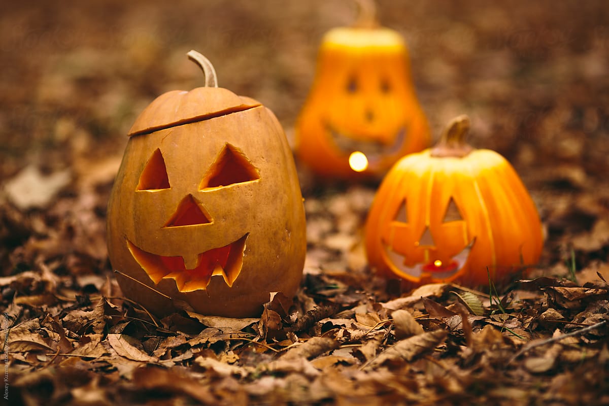 "Jack O' Lantern Pumpkins" by Stocksy Contributor "Alexey Kuzma" - Stocksy