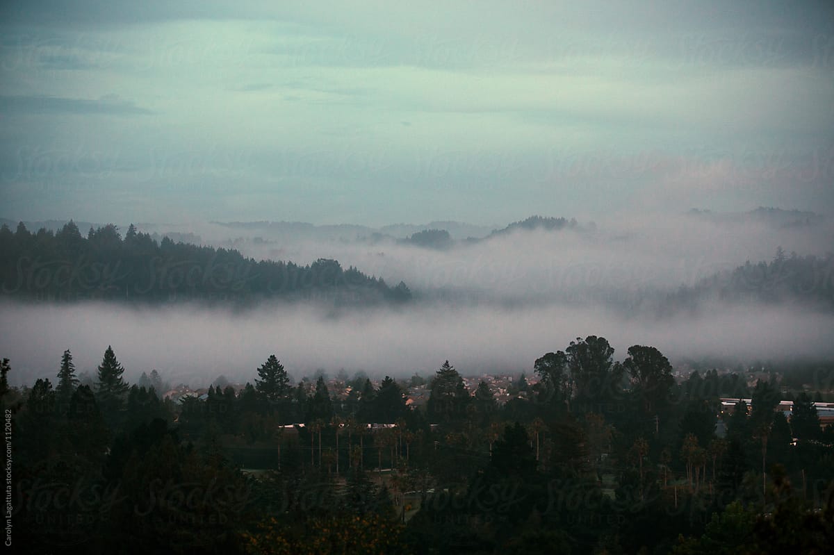 "Fog Filled Valley" by Stocksy Contributor "Carolyn Lagattuta" - Stocksy