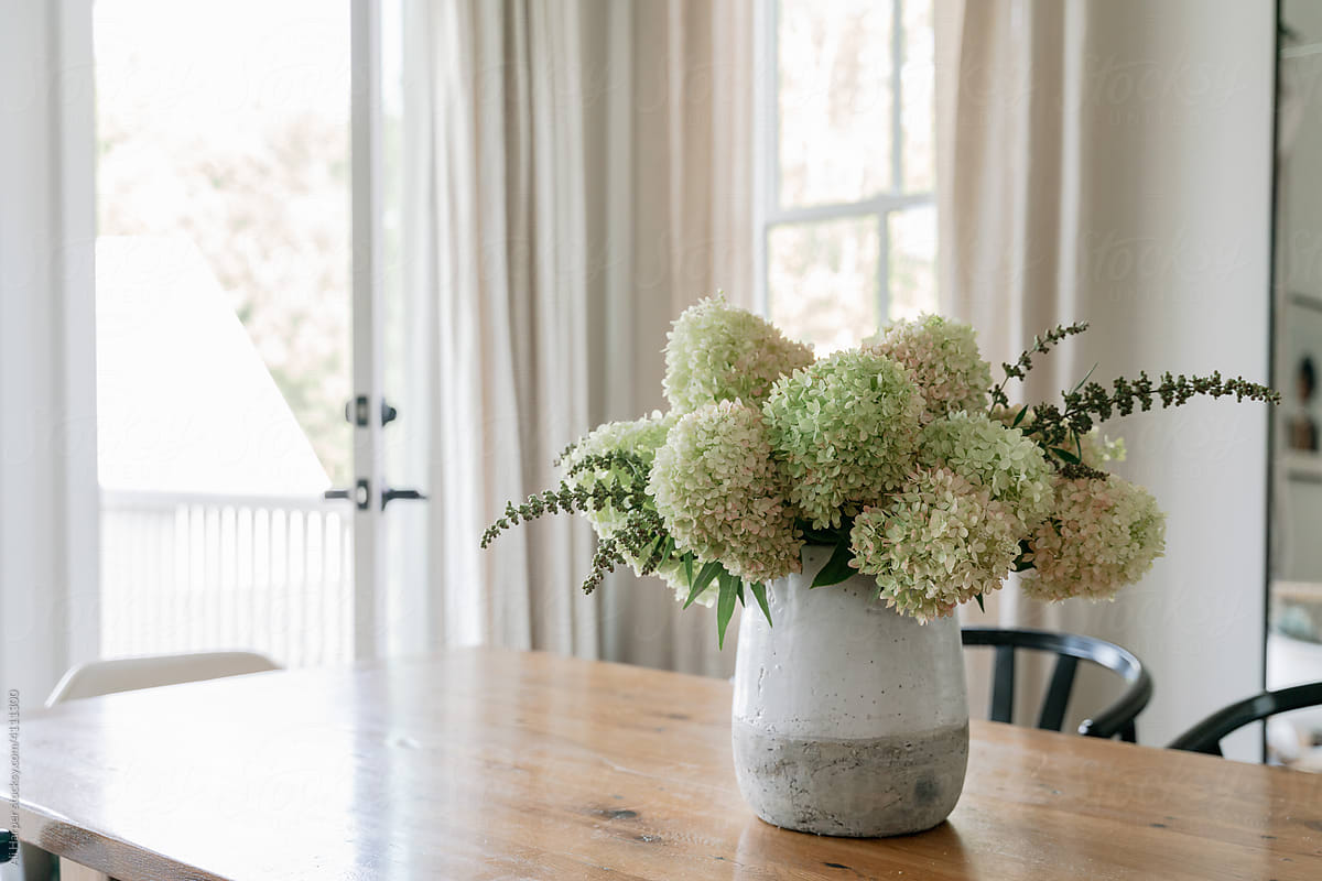 "Limelight Hydrangeas Arranged In Pottery" by Stocksy Contributor "Ali ...
