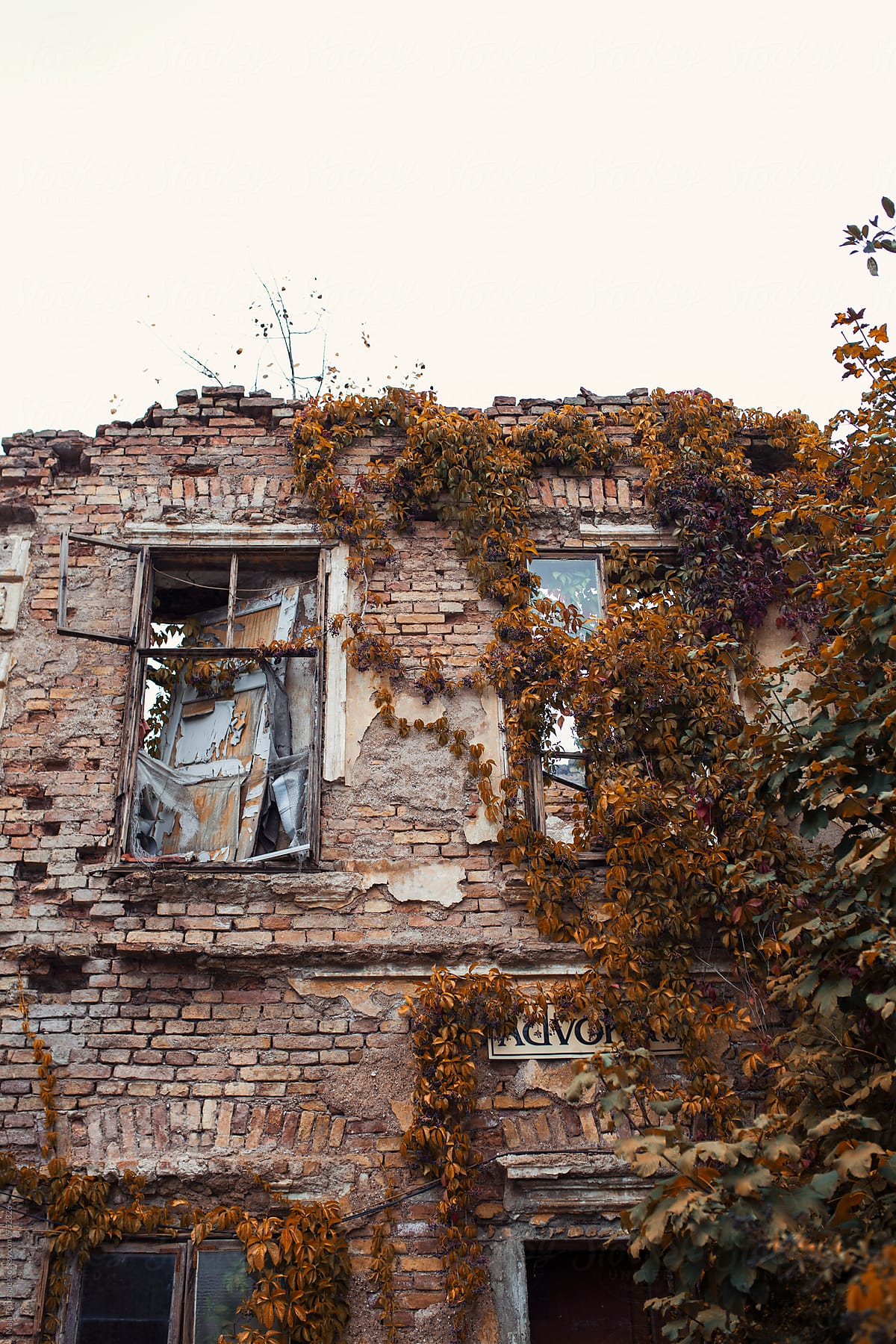 "Old House Covered In Orange Autumn Leaves" by Stocksy Contributor ...