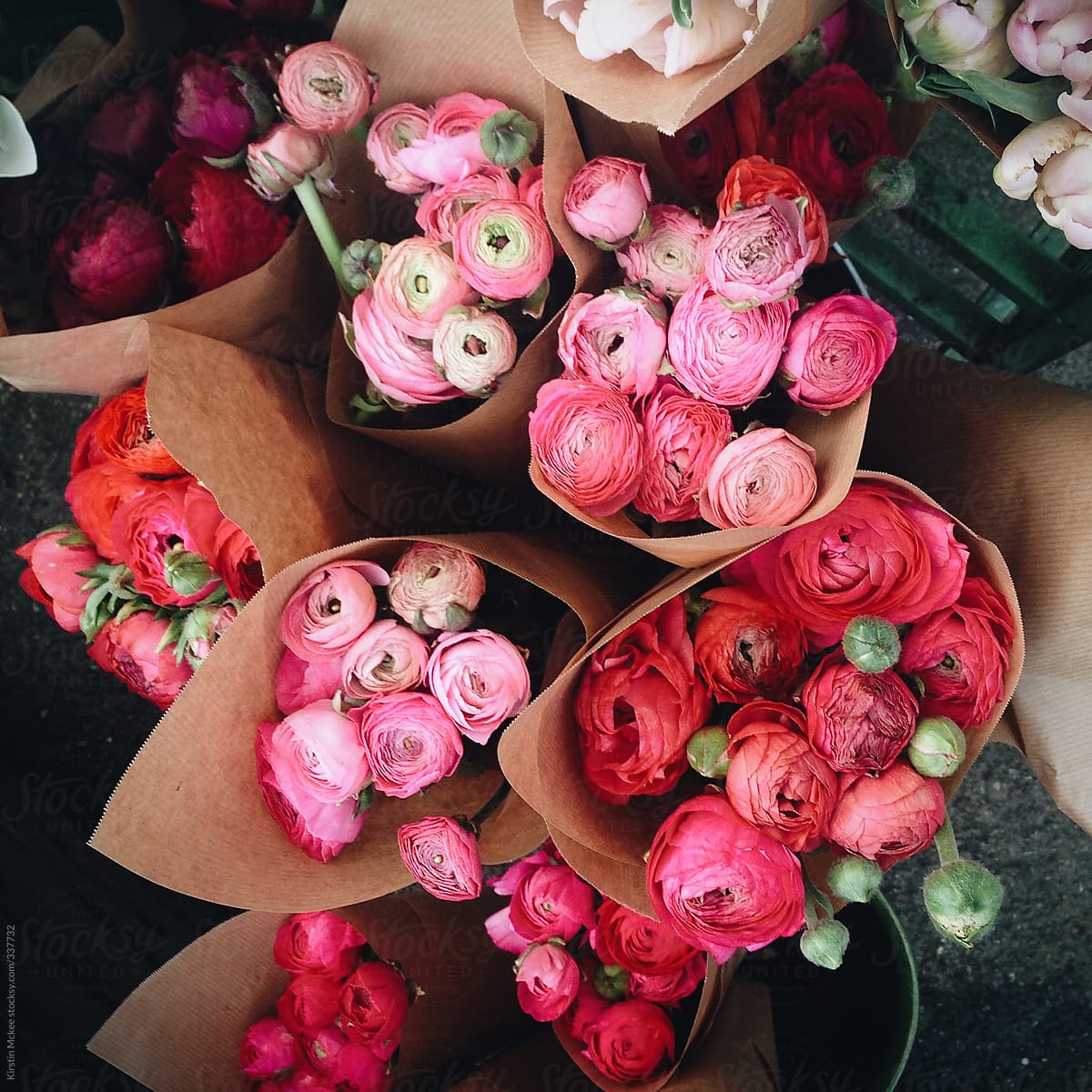 "Bunches Of Ranunculus Flowers" by Stocksy Contributor "Kirstin Mckee ...