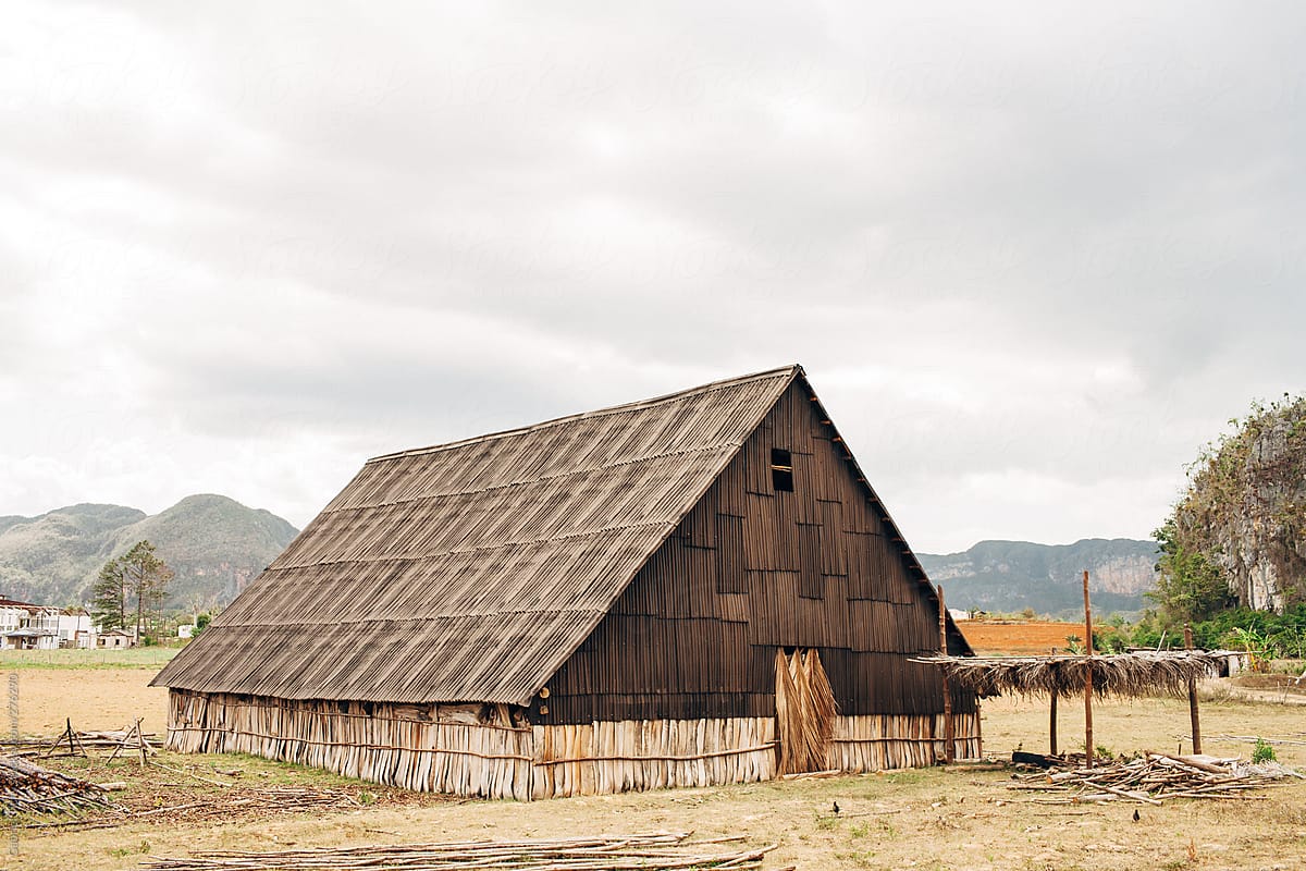 "Hut In Rural Cuba" by Stocksy Contributor "Gabriel Tichy" - Stocksy