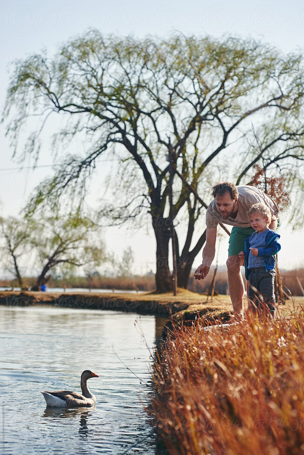 "Feeding Ducks Family" by Stocksy Contributor "Daxiao Productions ...