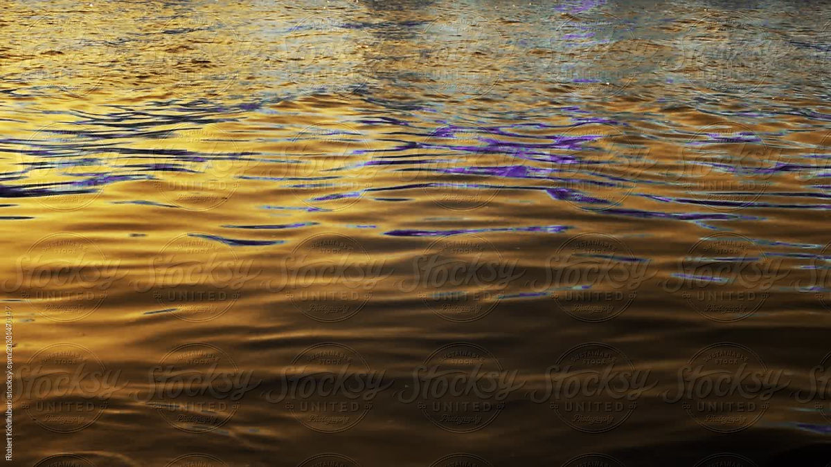 "Abstract Water Waves, Infrared Shot" by Stocksy Contributor "Robert ...