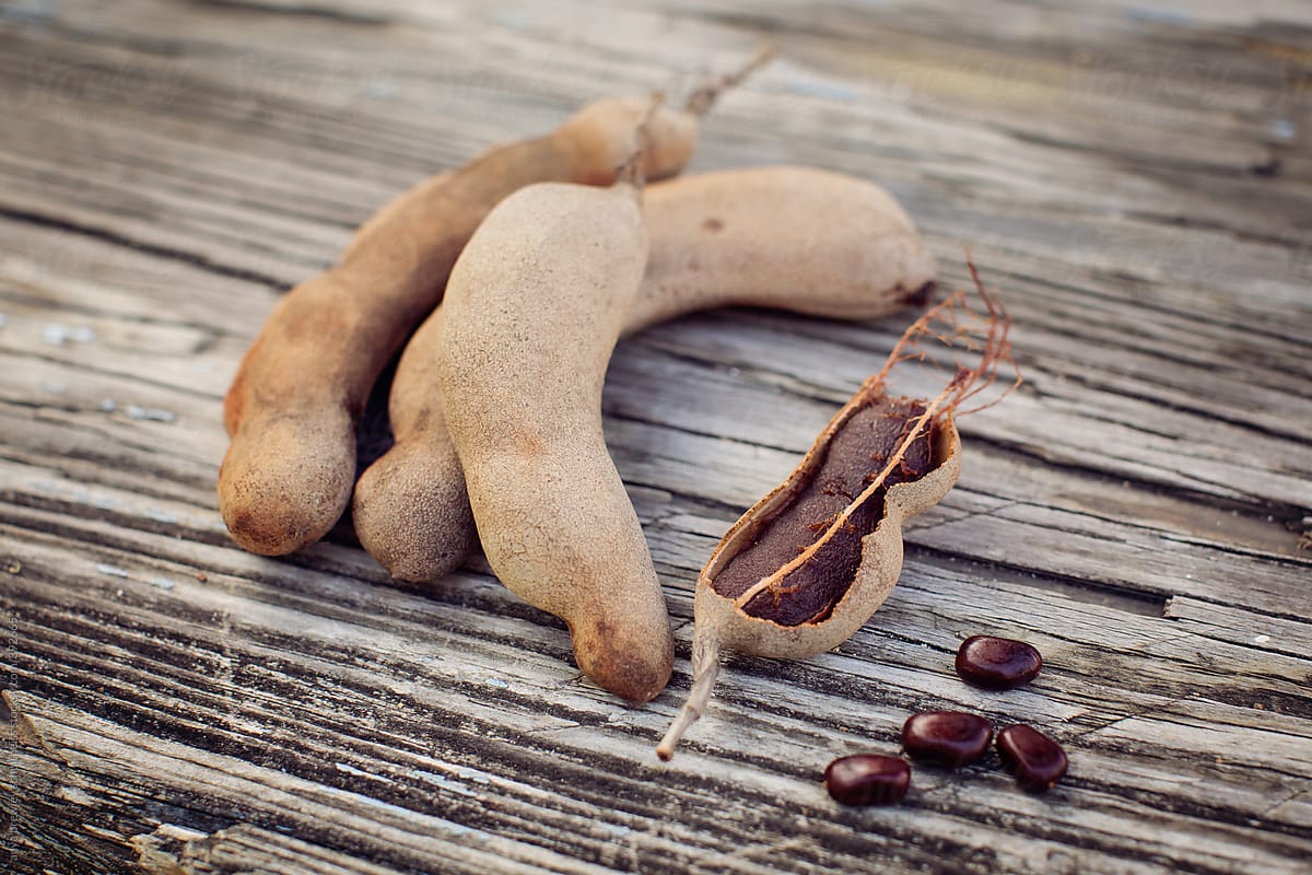 "Tamarind Fruit Still Life On An Outdoor Bench" by Stocksy Contributor ...