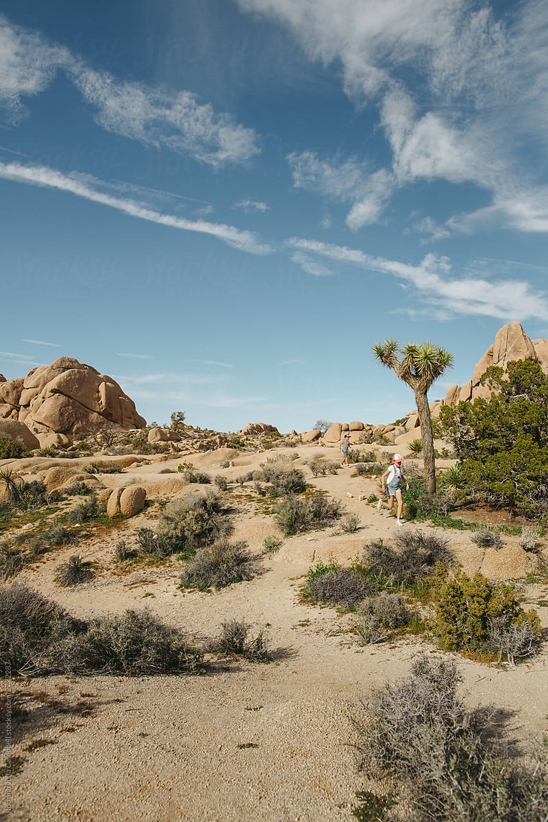 "Kids Running And Exploring In Joshua Tree" by Stocksy Contributor "Rob ...