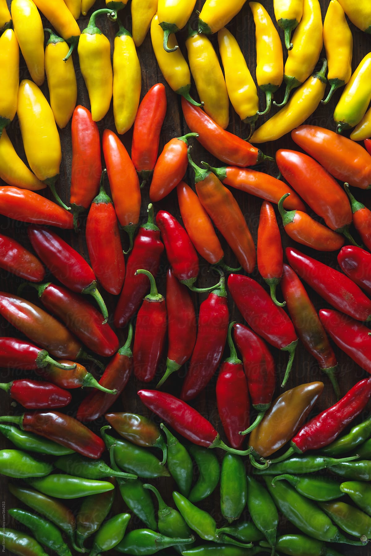 "Background With Peppers" by Stocksy Contributor "Sibila and Pavel ...