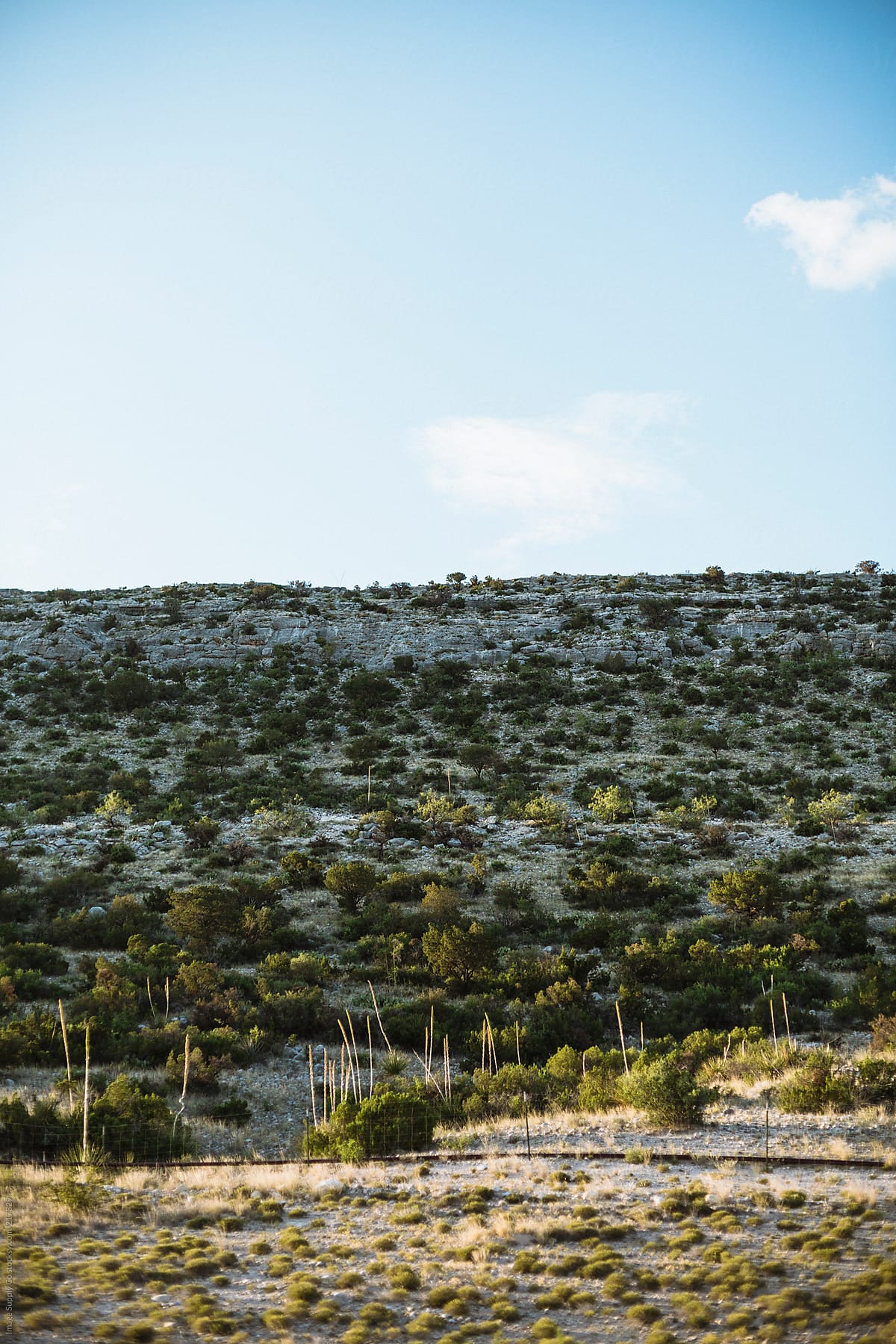 "Hilly Landscape In Countryside Texas" by Stocksy Contributor "IMAGE ...