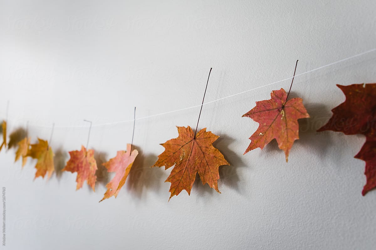 "Colorful Leaves Hanging On String" by Stocksy Contributor "Kristine ...
