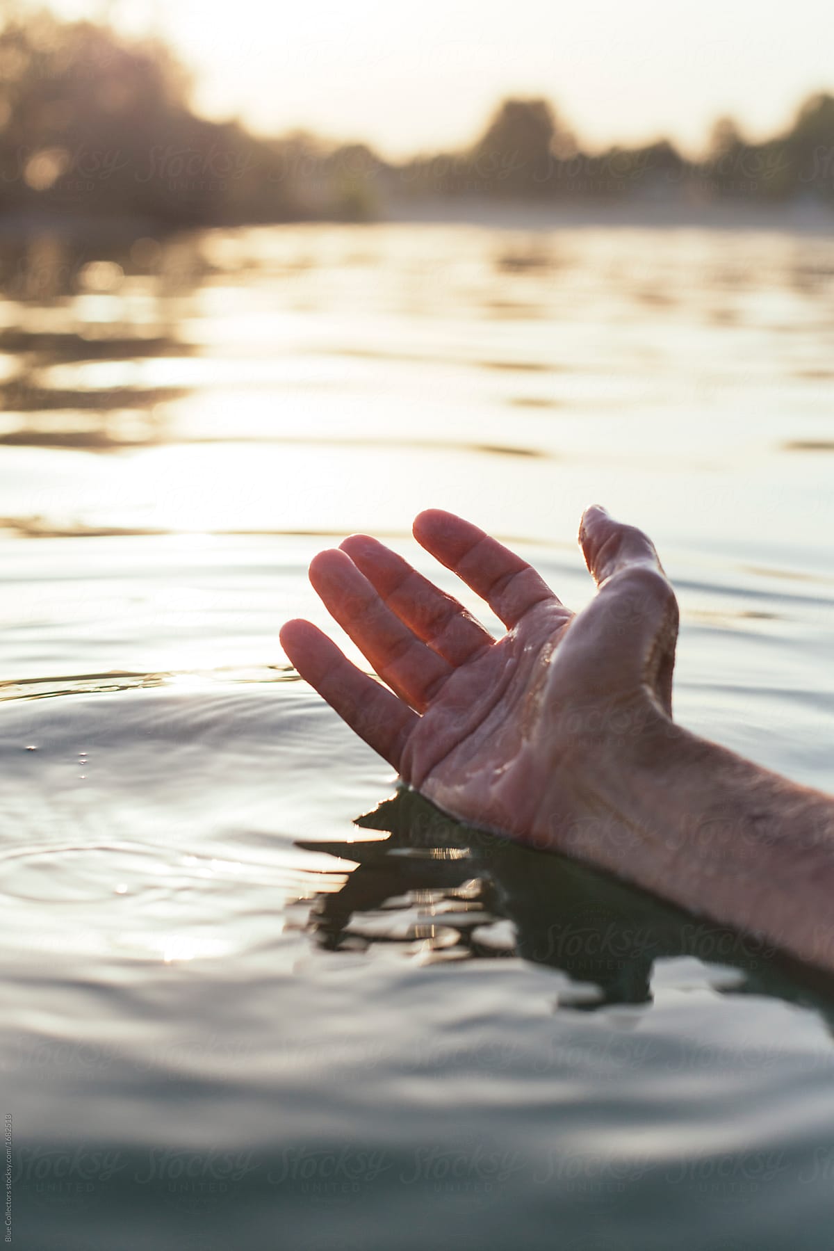 "Man Touching Water Surface" by Stocksy Contributor "Blue Collectors ...