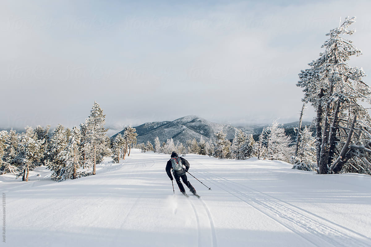 "View From Behind Of A Mountain Skier Having Fun Skiing In A Snowy Ski ...