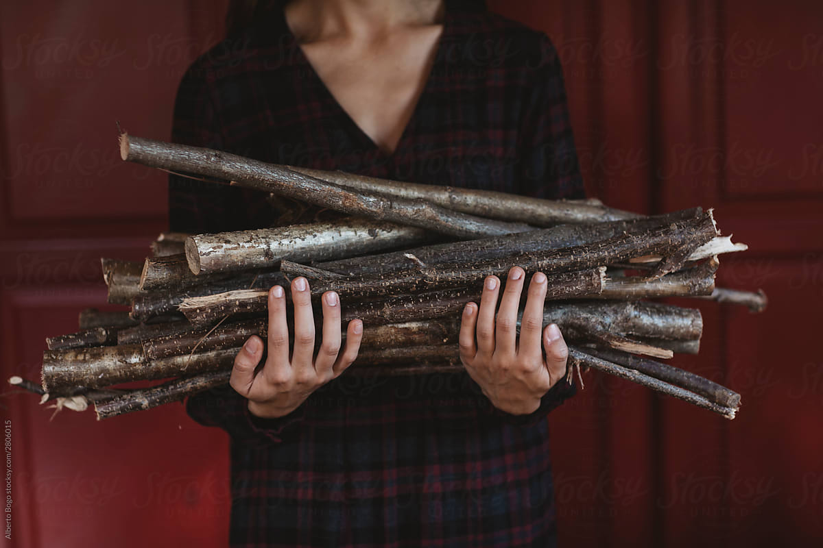 "Woman Holding Chopped Wood Sticks" by Stocksy Contributor "Studio ...