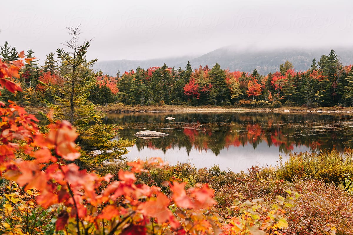 "High Country Pond In Autumn" by Stocksy Contributor "Raymond Forbes ...