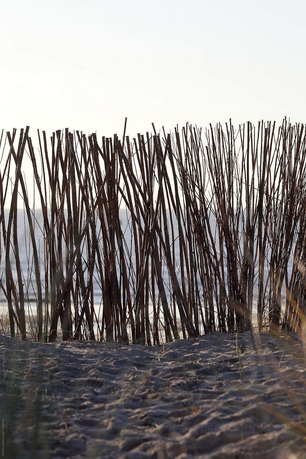 "Willow Twig Fence At Sea" by Stocksy Contributor "Marcel" - Stocksy