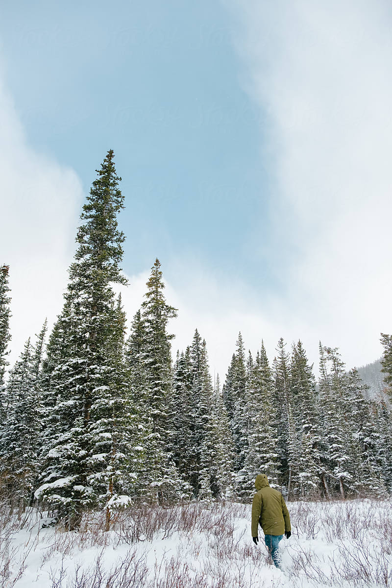 "Hiking Through Winter Landscape" by Stocksy Contributor "Maryanne ...