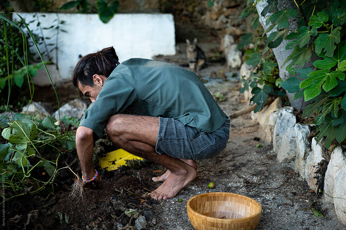 "A Man Digging For Vegetables" by Stocksy Contributor "Jenny Jungle ...