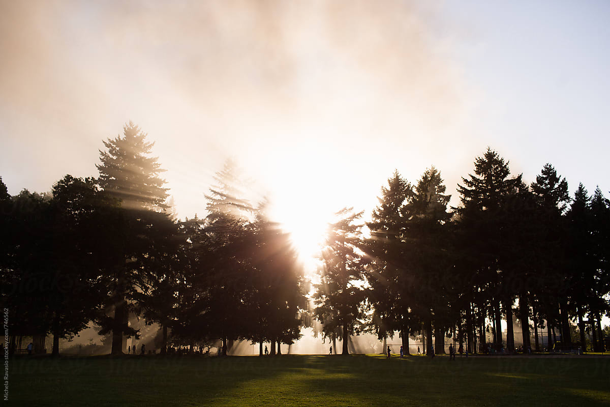 "Smoke In The Park" by Stocksy Contributor "Michela Ravasio" - Stocksy
