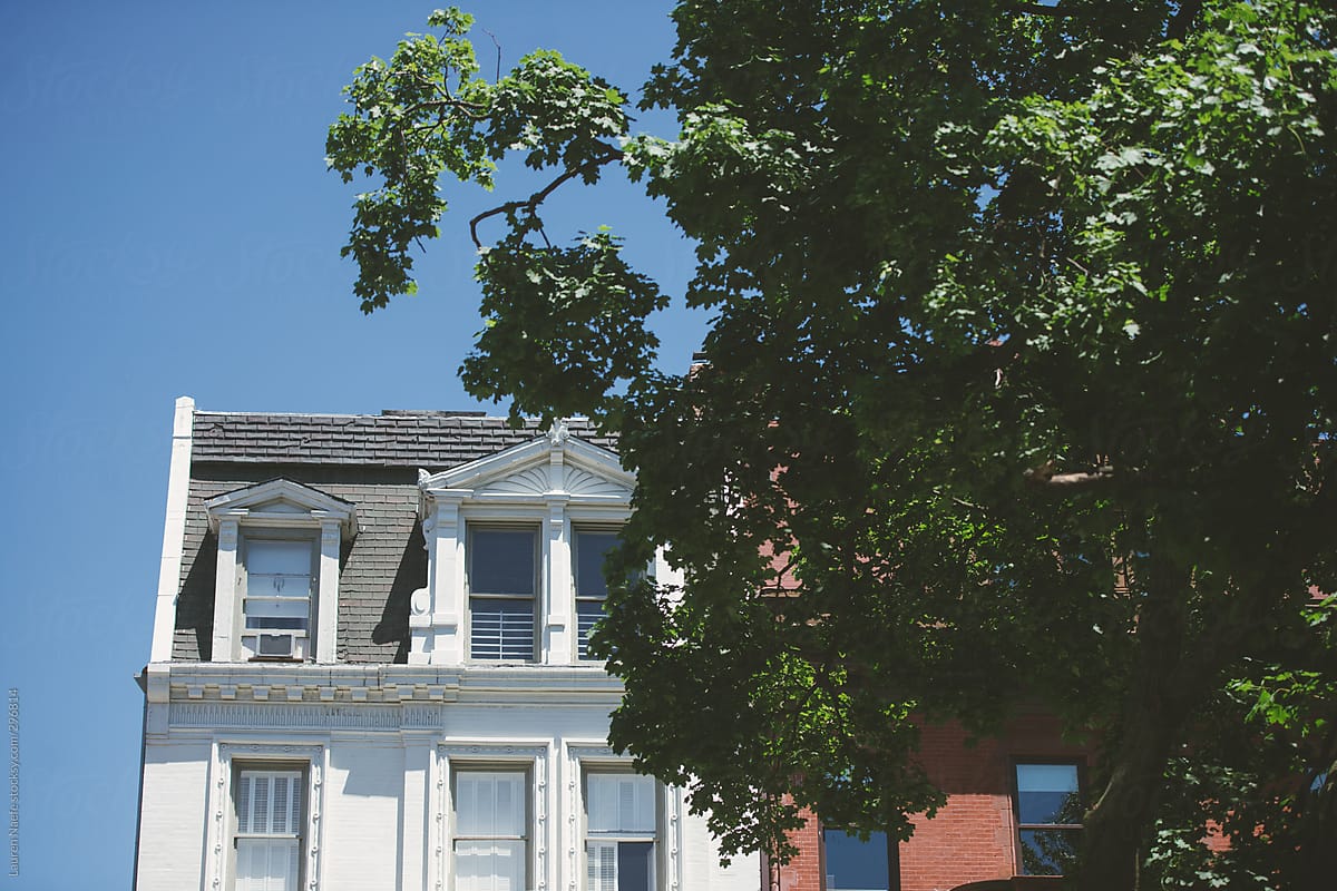 "Apartment Building And Tree" by Stocksy Contributor "Lauren Lee" - Stocksy