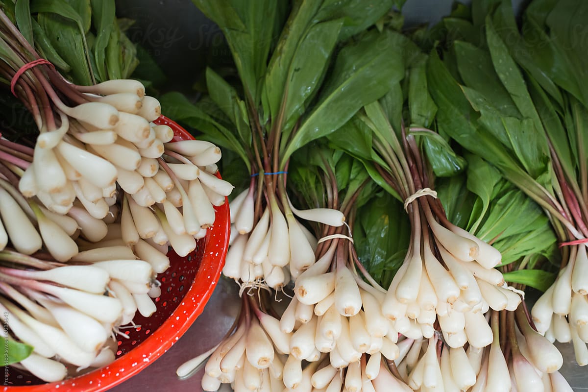"Ramps" by Stocksy Contributor "Preappy" - Stocksy