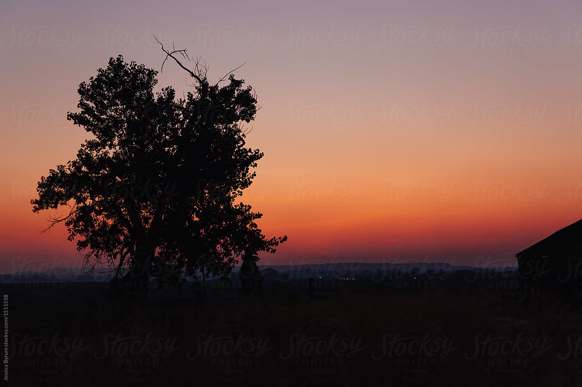 "Smokey Sunset On A Farm In Montana." by Stocksy Contributor "Jessica ...