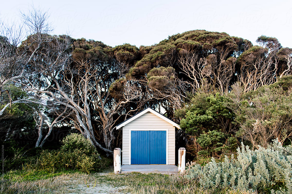 "Coastal Beach Hut Nestled Into Tea Trees" by Stocksy Contributor ...